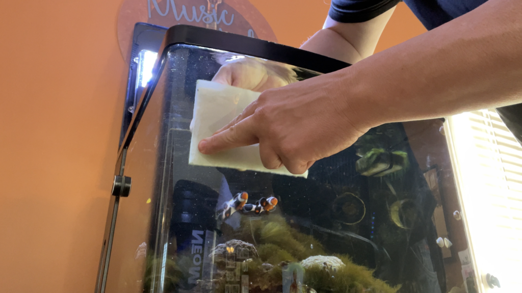 Easy Aquarium Service, Aquarium Cleaning 5 Star Review