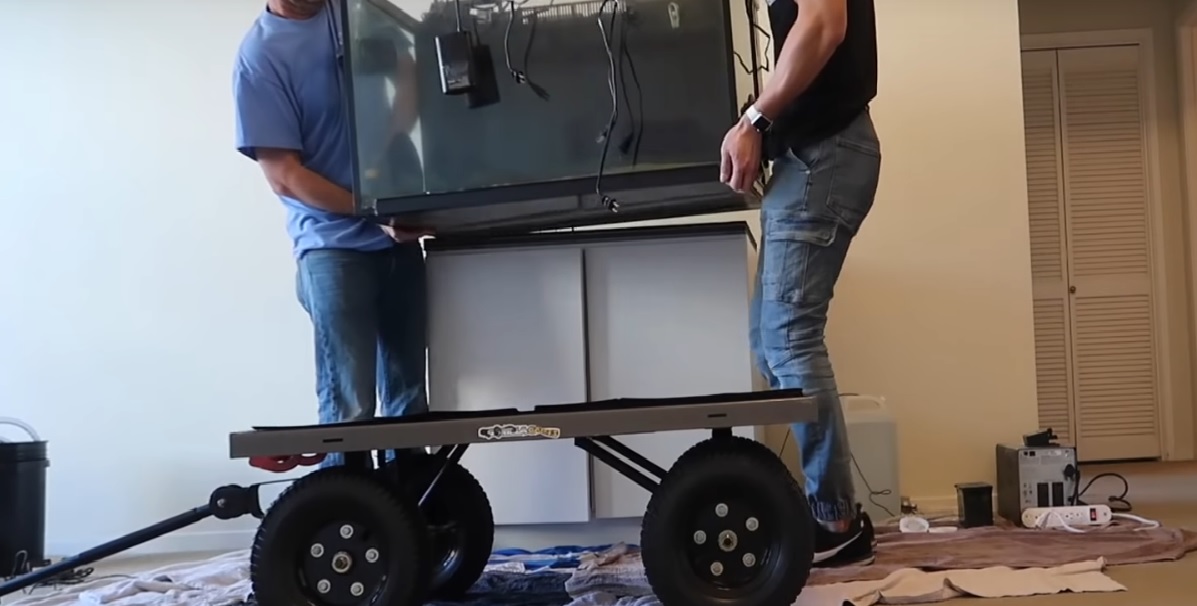 Aquarium Maintenance Services | Your Aquarium Experts
